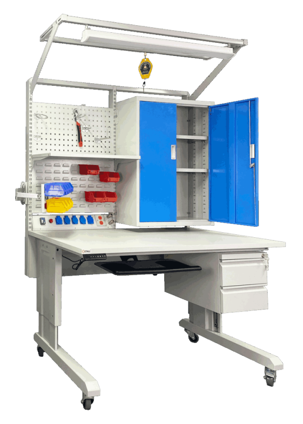 ESD Workbench - Detall ESD